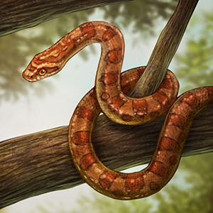 Quest Snake | Wolvden Wiki | Fandom