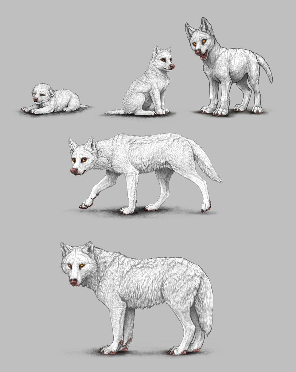 Illnesses & Herbalism | Wolvden Wiki | Fandom