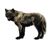 Markings | Wolvden Wiki | Fandom