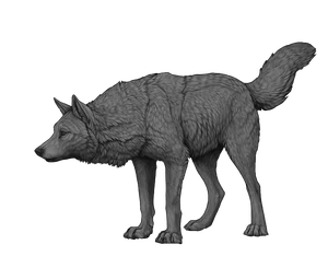 Variants | Wolvden Wiki | Fandom