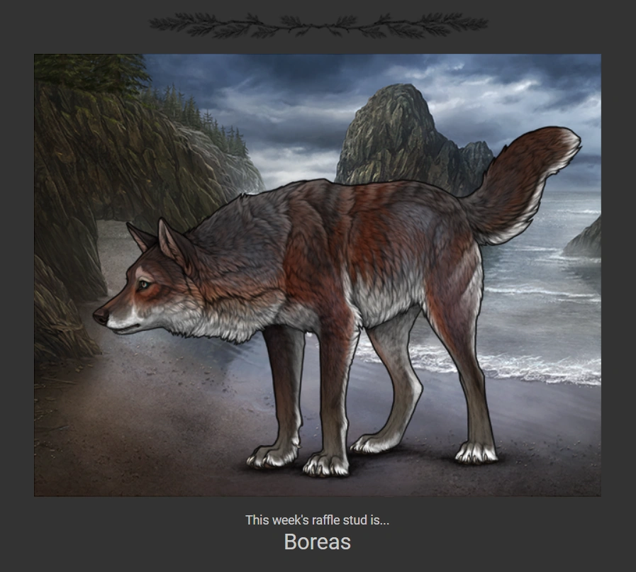 Raffle Studs | Wolvden Wiki | Fandom