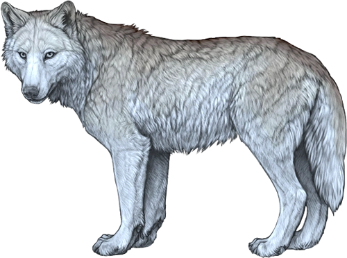 Bases | Wolvden Wiki | Fandom