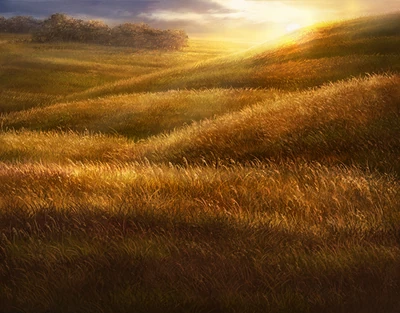 Backgrounds | Wolvden Wiki | Fandom