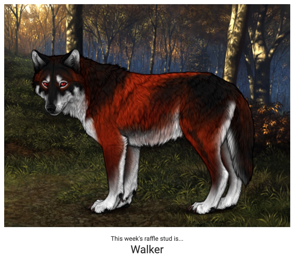 Raffle Studs | Wolvden Wiki | Fandom