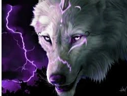 Storm | Wolves of War Wiki | Fandom