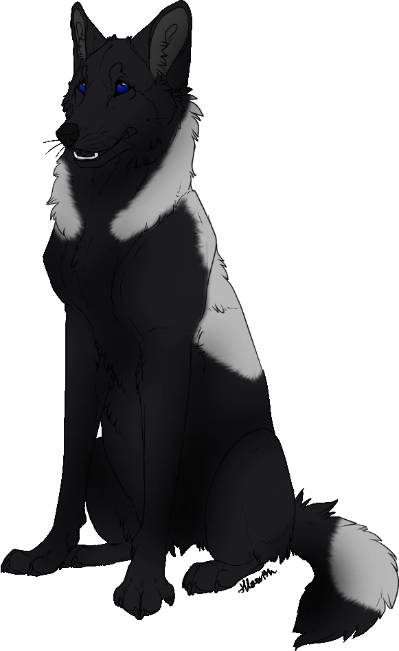 Character Approval Page | Wolves rp Wiki | Fandom