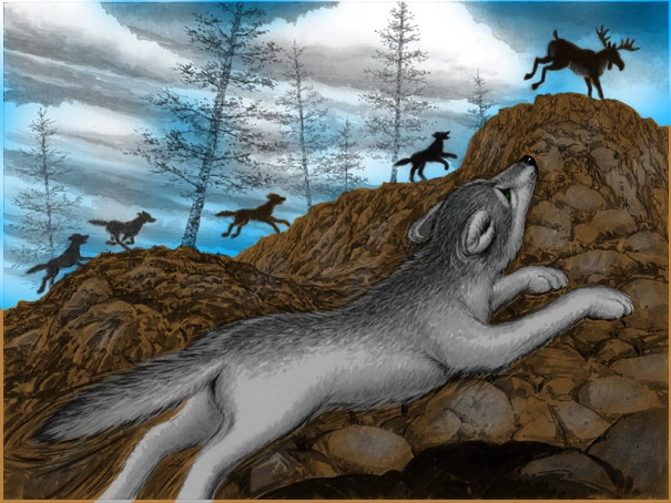 Shadow Wolf | Wolves of the beyond Wiki | Fandom