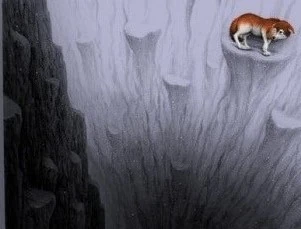 Category:Females | Wolves of the beyond Wiki | Fandom