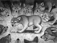 Faolan | Wolves of the beyond Wiki | Fandom