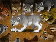 Shadow Wolf | Wolves of the beyond Wiki | Fandom