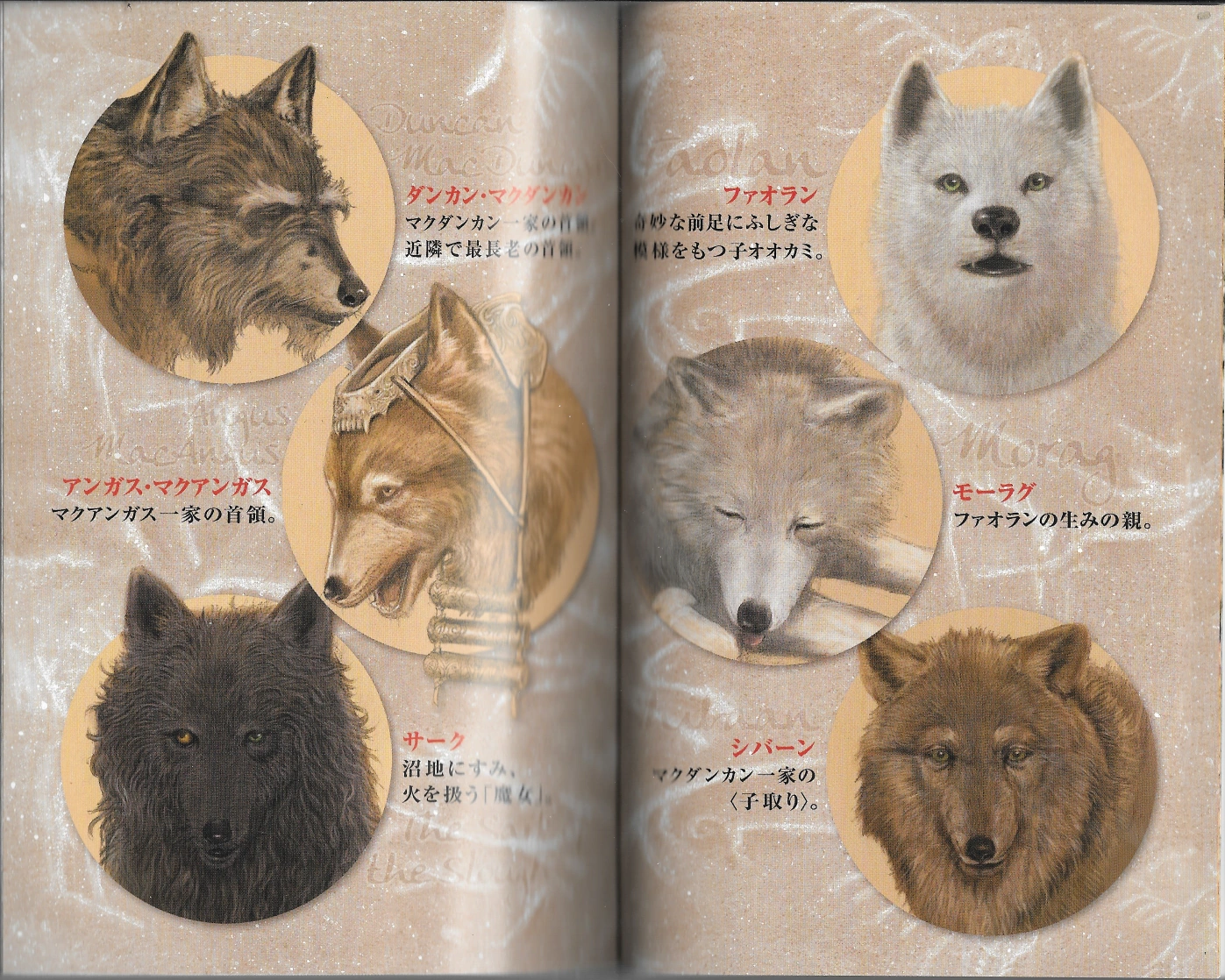 Faolan Wolves Of The Beyond