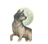 Mhairie | Wolves of the beyond Wiki | Fandom