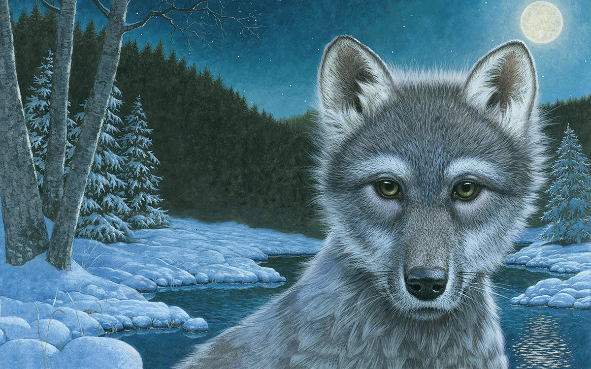 Faolan | Wolves of the beyond Wiki | Fandom