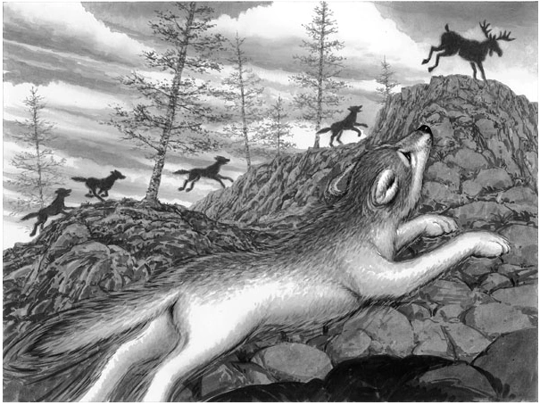 Byrrgis | Wolves of the beyond Wiki | Fandom