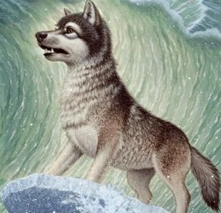 Gyre Soul | Wolves of the beyond Wiki | Fandom