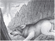 Faolan | Wolves of the beyond Wiki | Fandom