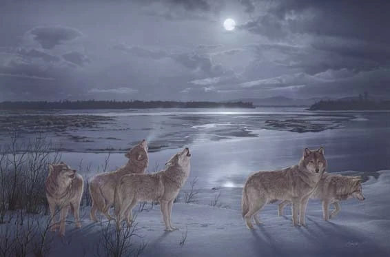 Wolves of the beyond Wiki | Fandom