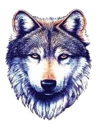 Mabaa | Wolves of the Beyond RP Wiki | Fandom