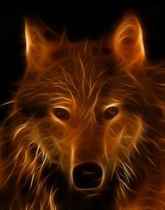 Ghost Wolf | MagicWolfSaga Wikia | Fandom
