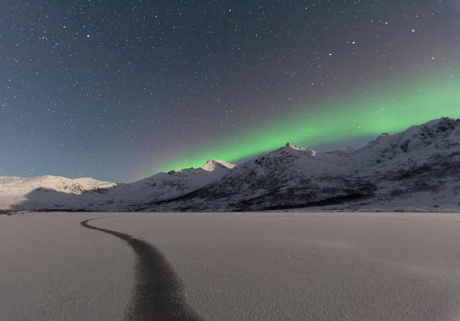 The Tribe of Mountain Snowfall | Wolves of the Tribes Wiki | Fandom