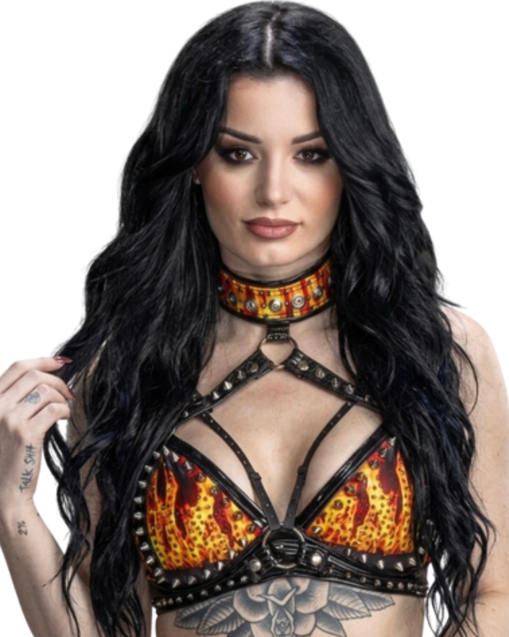 Paige | Women's 2K Universe Mode Wiki | Fandom