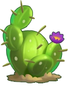 Cacti | Wonder Merge Wiki | Fandom