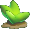 Cacti | Wonder Merge Wiki | Fandom