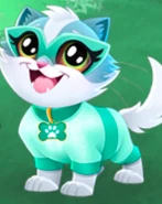 The Superhero Pets | Wonder Pets Crossovers Wiki | Fandom