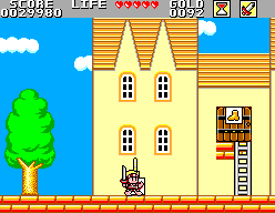 Valley of Peace | Wonder Boy Wikia | Fandom