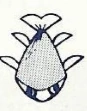 Fish | Wonder Boy Wikia | Fandom