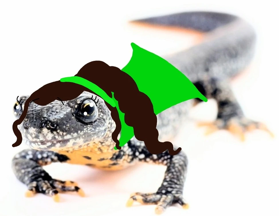 Nella Newt | Wonder Fanon Wiki | Fandom