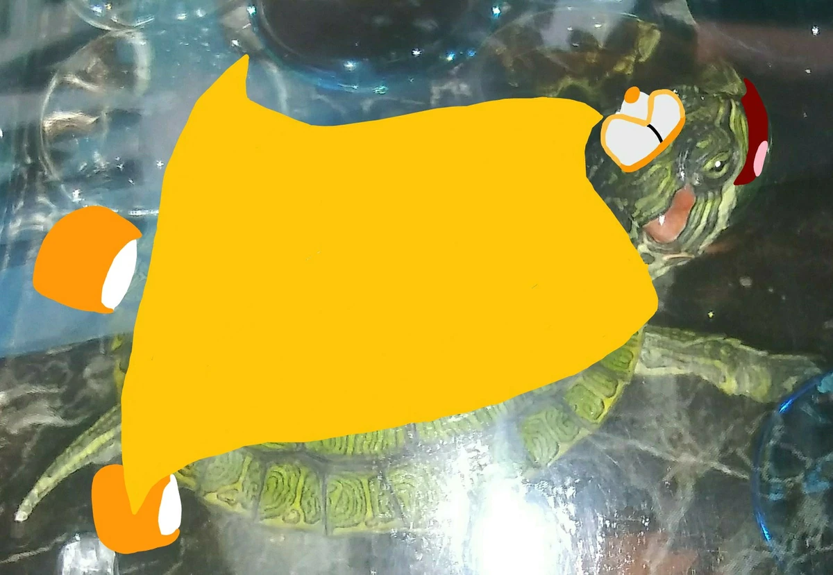 Tim The Turtle | Wonder Fanon Wiki | Fandom