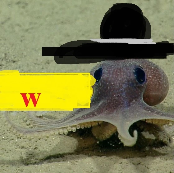 Octo octopus | Wonder Fanon Wiki | Fandom