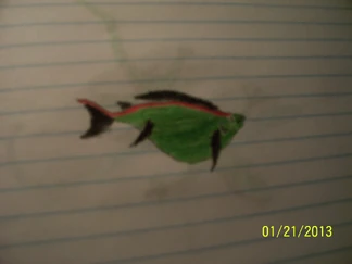 Noxfish | Wonder Wiki | Fandom