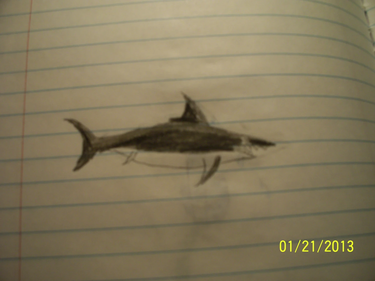 Blade Shark | Wonder Wiki | Fandom