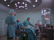 Tara Landon | Wonder Woman Wiki | Fandom