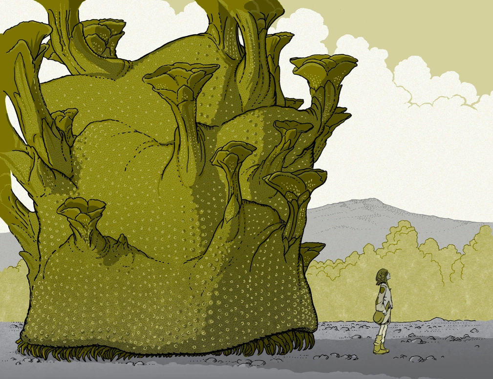 Wandering Tree | WondLa Wiki | Fandom