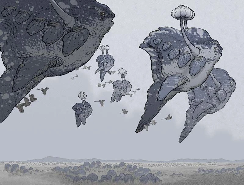 Airwhale | WondLa Wiki | Fandom