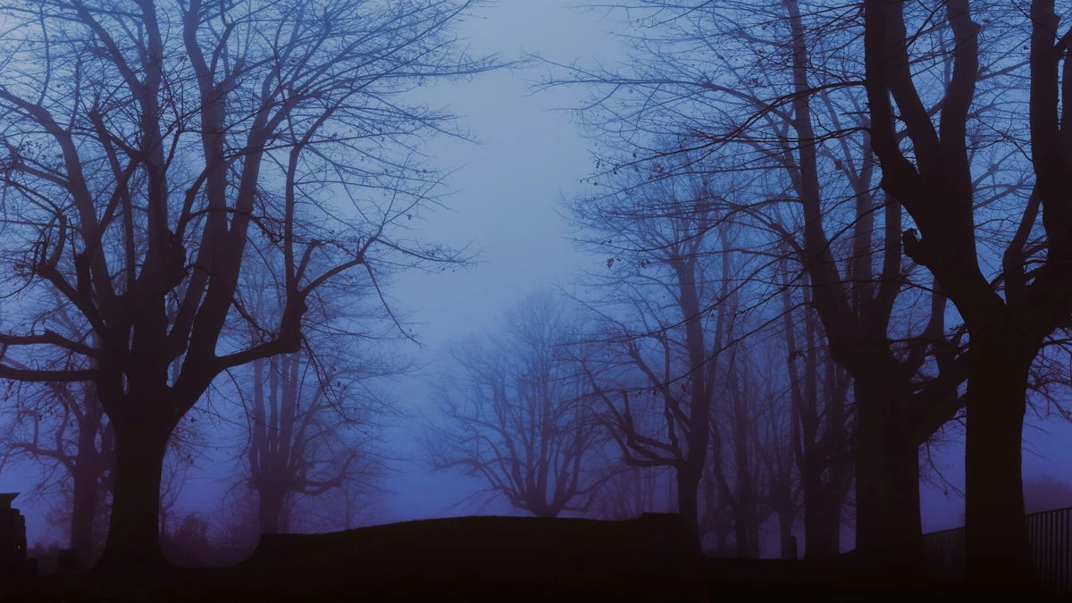 Level 690: "Radiative Forest" | Woodrooms Wiki | Fandom