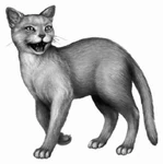 Dorian Freeport | Woodwalkers Wiki | Fandom