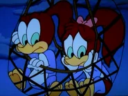 The Meany Witch Project | The Woody Woodpecker Wiki | Fandom