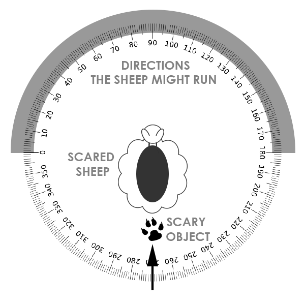 Sheep behaviour | Woolypians Wiki | Fandom