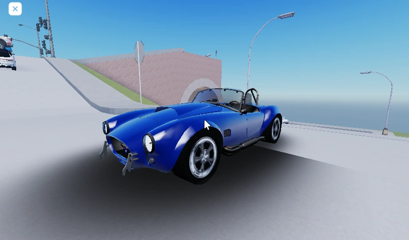 1966 Shelby Cobra 427 Super Snake 5