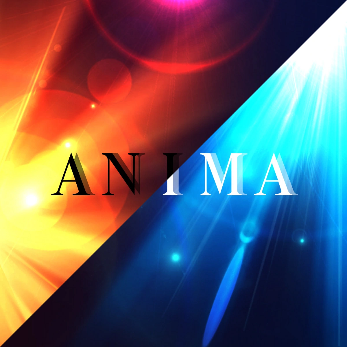 ANIMA | World Dai Star Wiki | Fandom