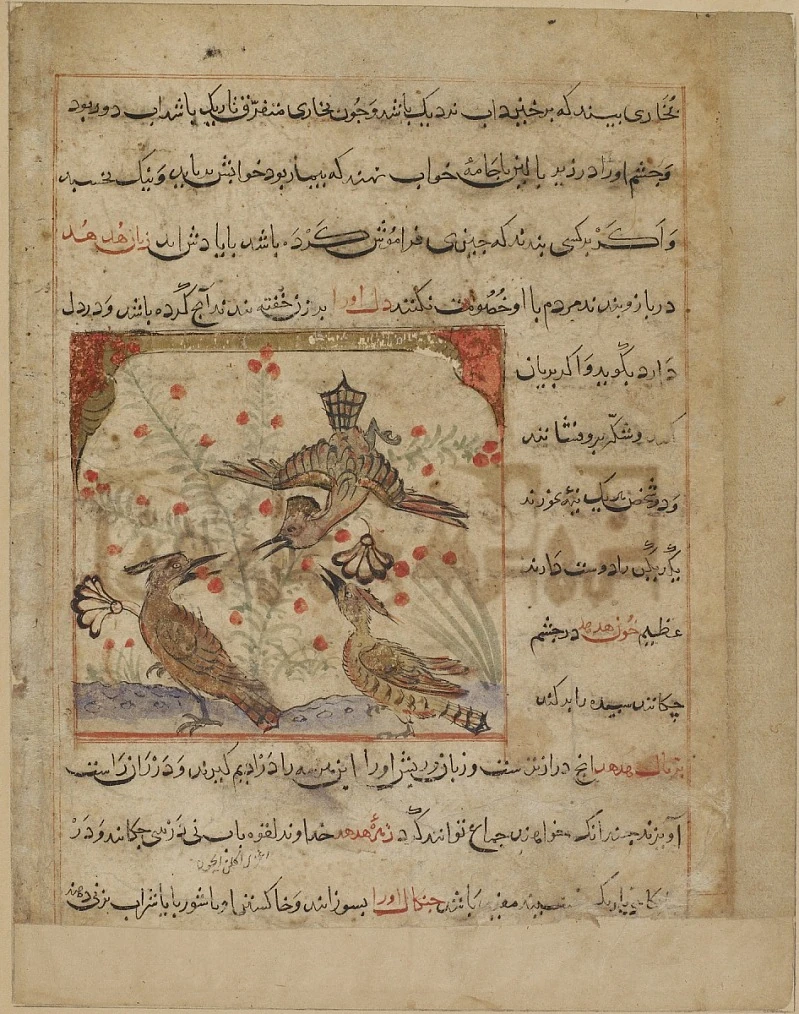 Conference of the Birds | World Literature1 Wiki | Fandom