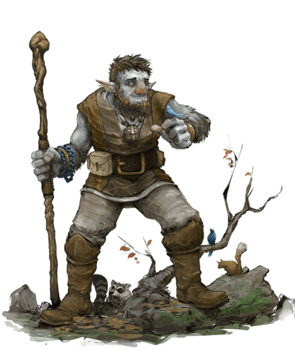 Firbolg | World of Erah D&D Wiki | Fandom