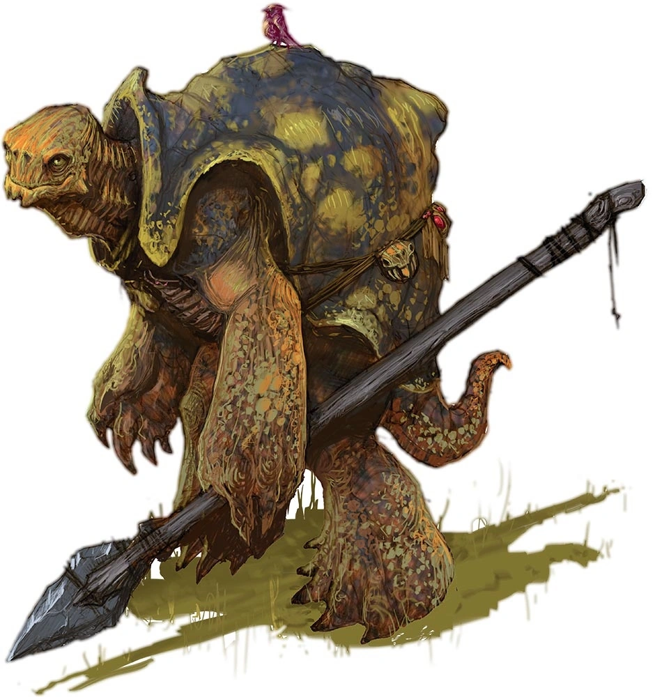Tortle | World of Erah D&D Wiki | Fandom