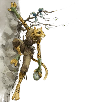 Tabaxi | World of Erah D&D Wiki | Fandom