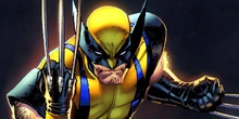 Wolverine | World of Marvel and DC Comics Wiki | Fandom