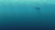 Finding Nemo/Gallery | Twilight Sparkle's Retro Media Library | Fandom